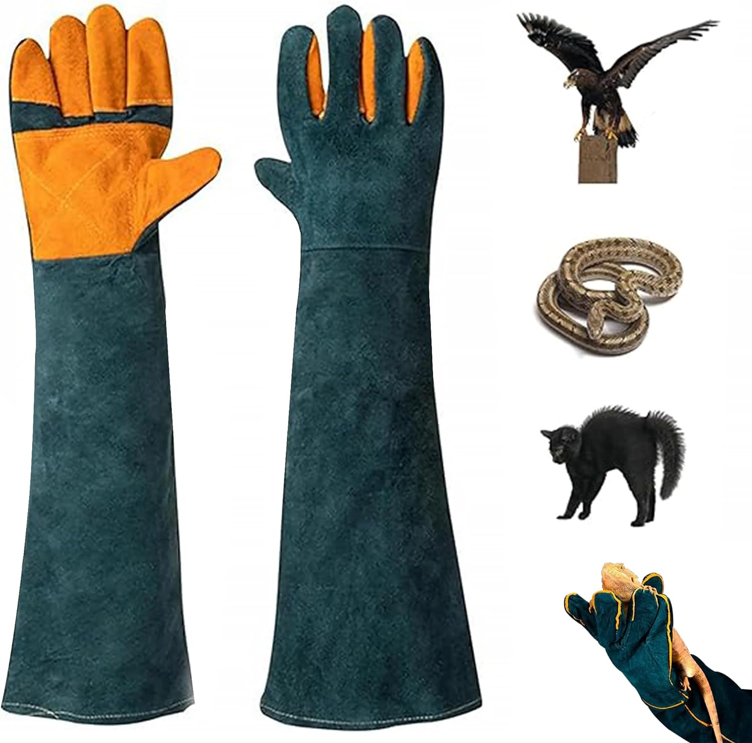 Animal Handling Gloves Review - Welding Apprentice Gear